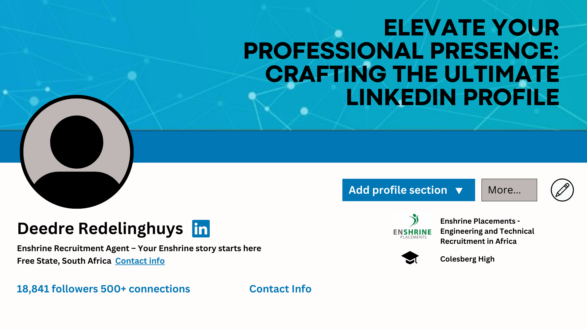 Elevate Your Professional Presence: Crafting the Ultimate LinkedIn Profile - Enshrine